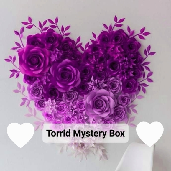 torrid | Other | Torrid Plus Size Mystery Box | Poshmark